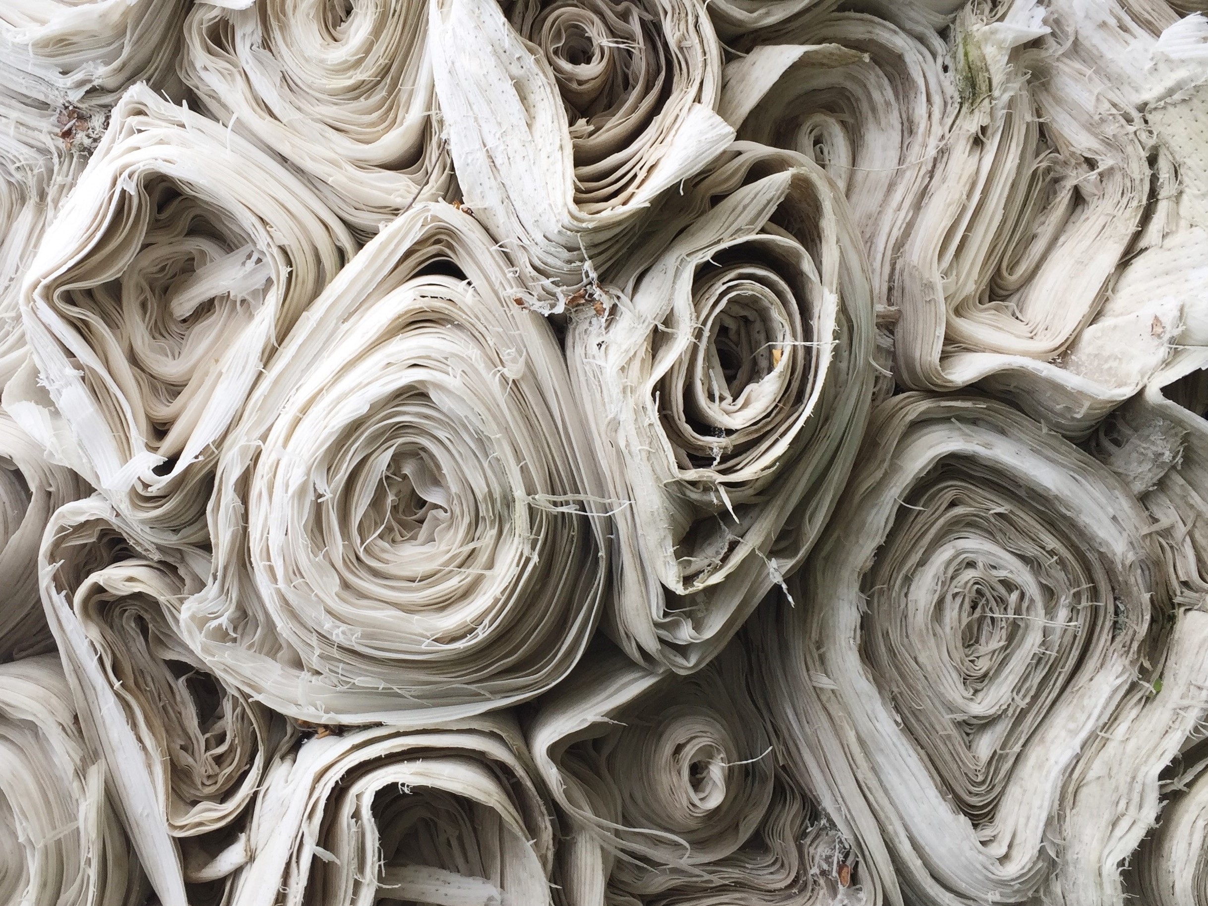 Fibre Fragmentation & Environmental Pollution — Asia Garment Hub